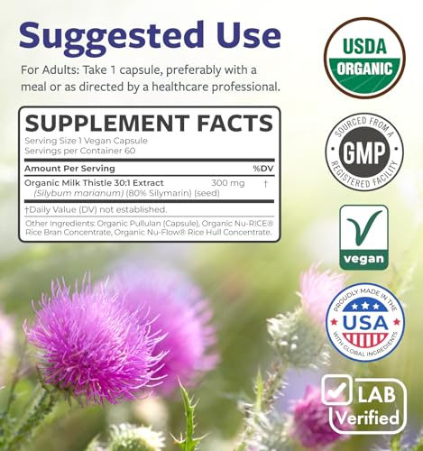 high potency milk thistle extract