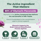 high potency milk thistle supplement
