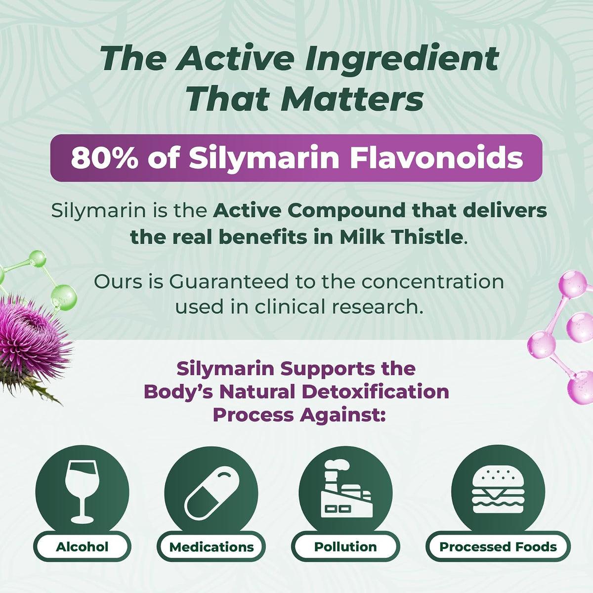 high potency milk thistle supplement