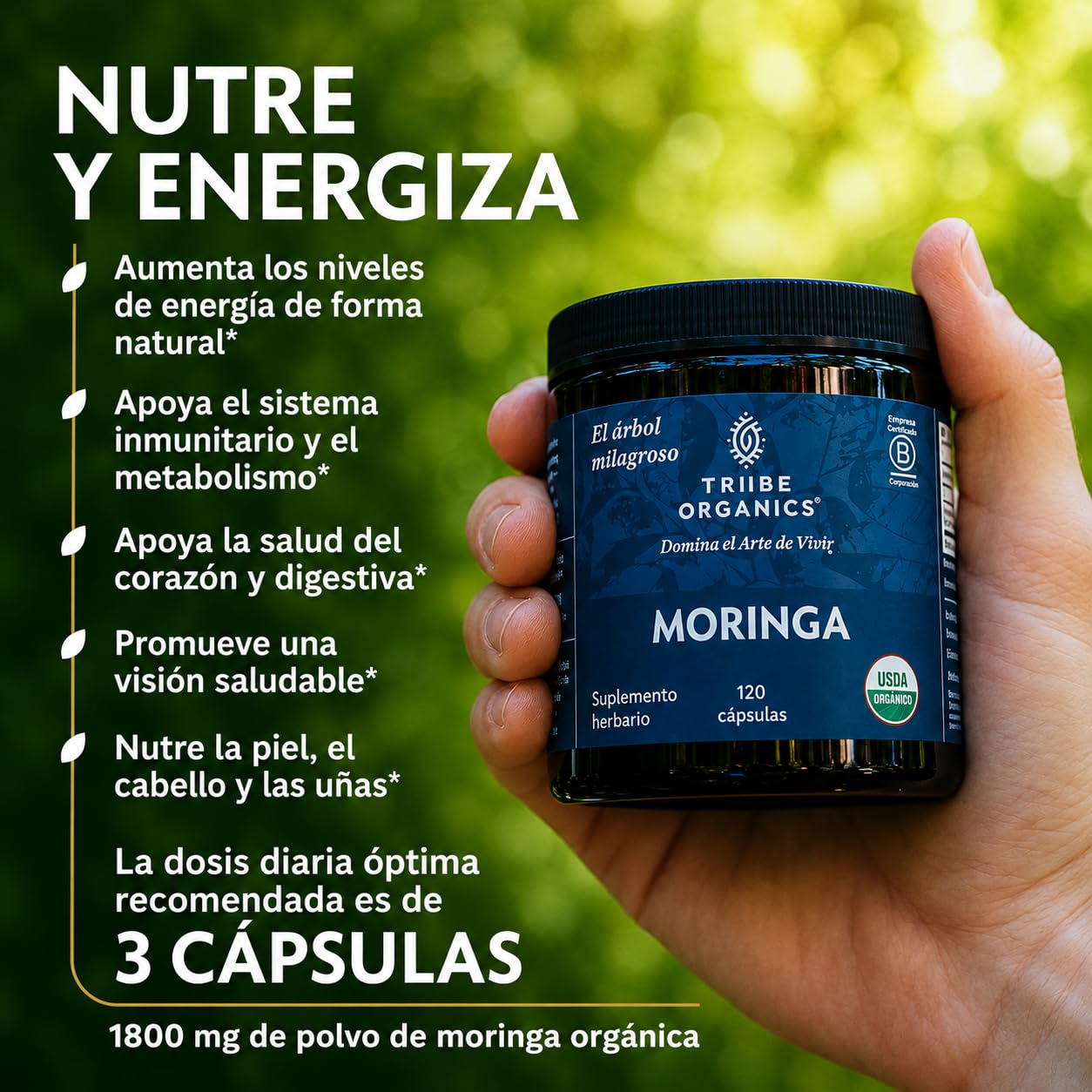 high potency moringa capsules 1800 mg