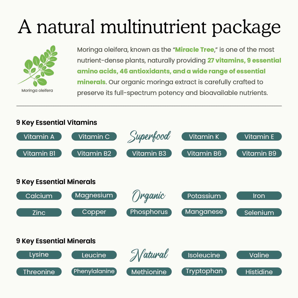 high potency moringa extract 1000 mg