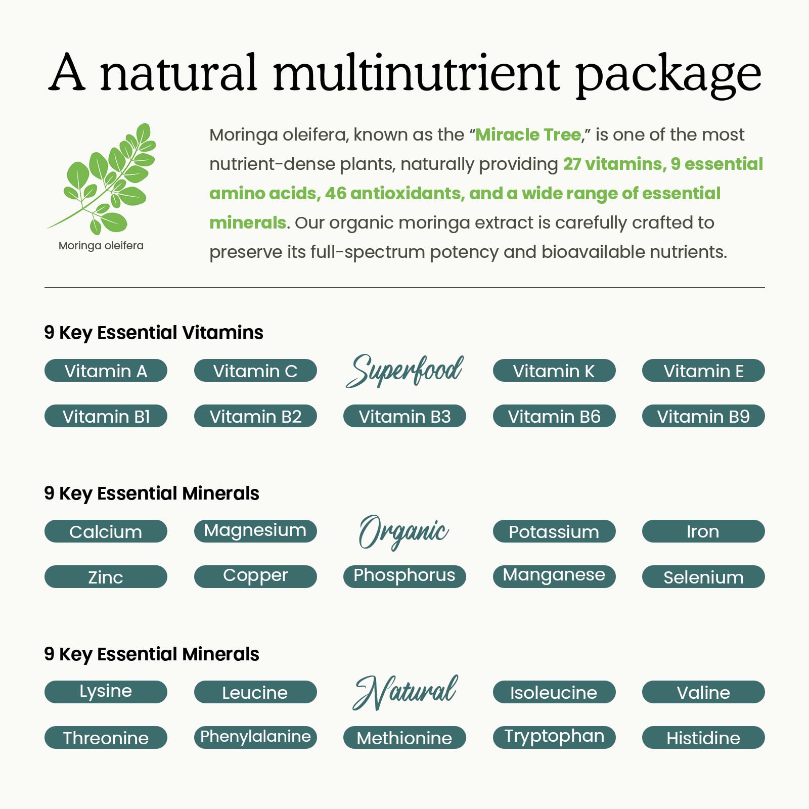 high potency moringa extract 1000 mg