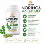 high potency Moringa for daily nutrition