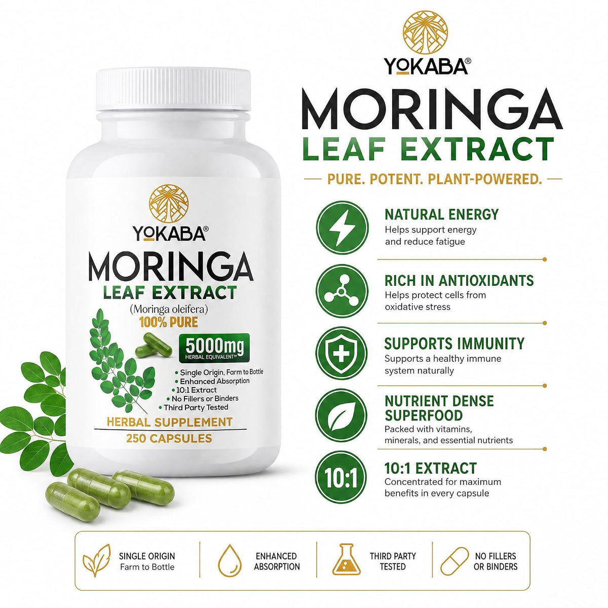 high potency Moringa for daily nutrition