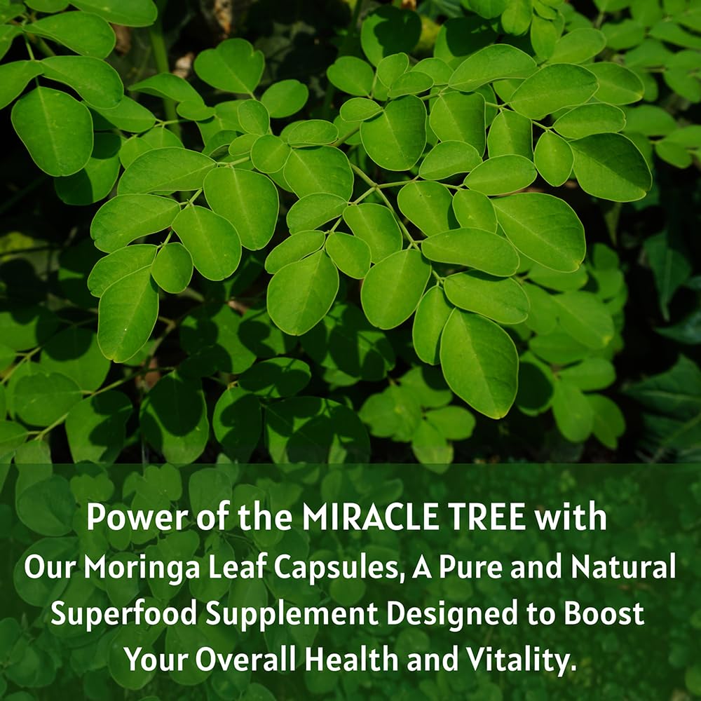 high potency Moringa health benefits