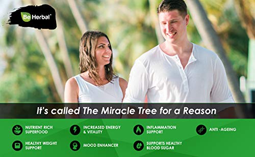 high potency moringa leaf extract