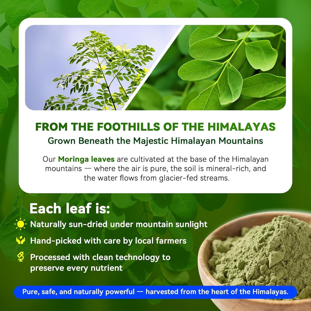 High potency moringa supplement