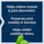 High potency MSM for recovery