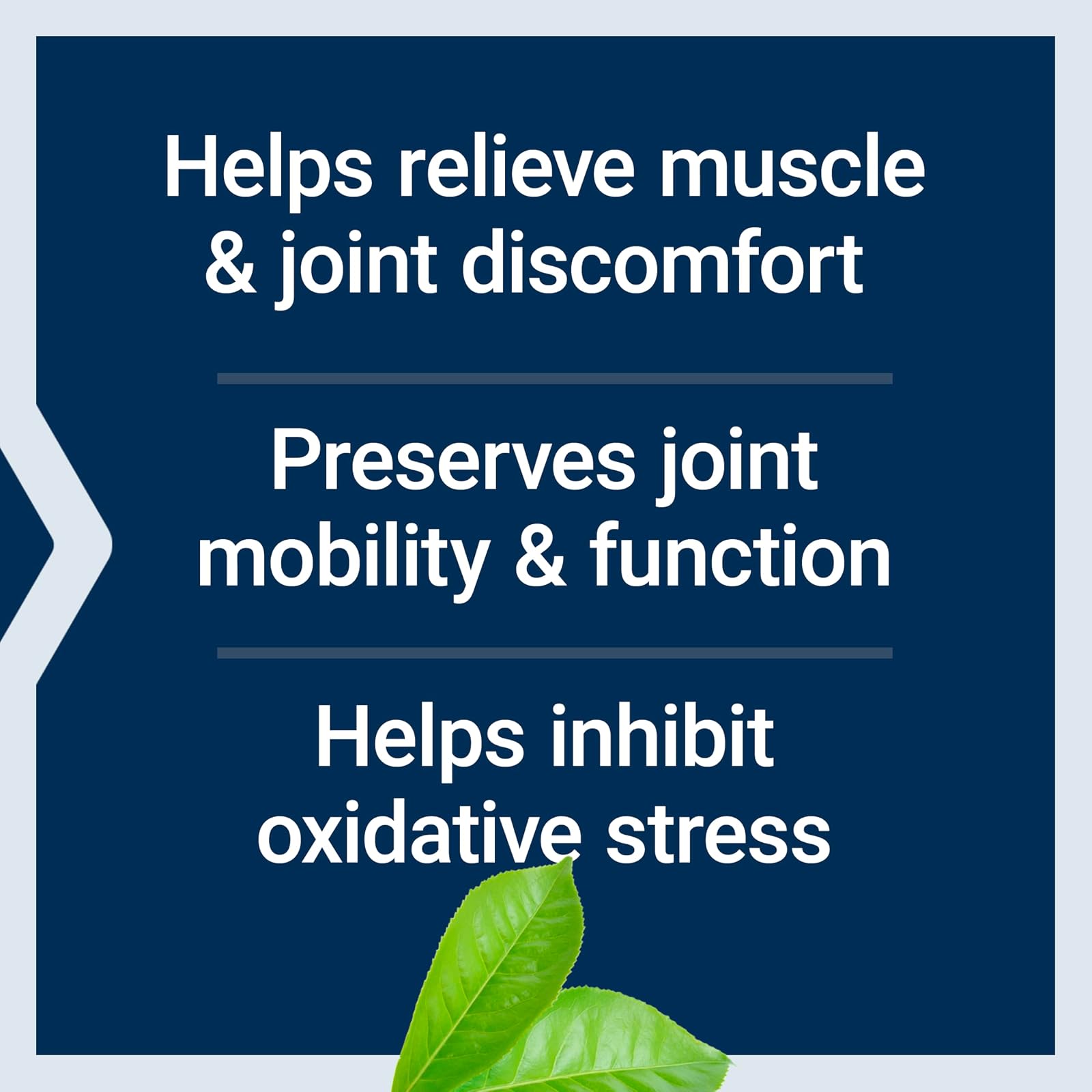 High potency MSM for recovery