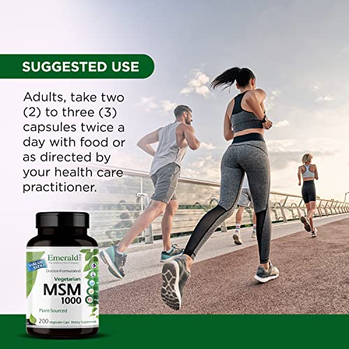 high potency MSM for recovery