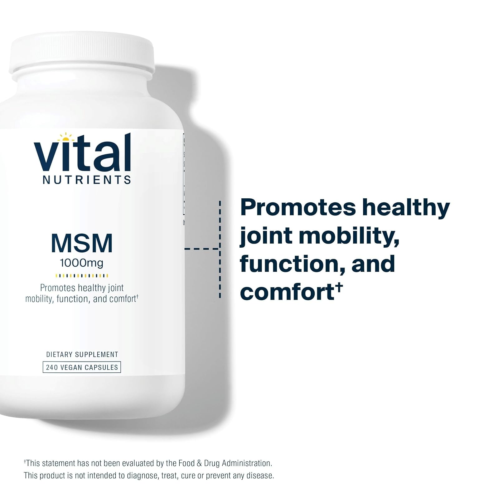 High potency MSM supplement 1000 mg