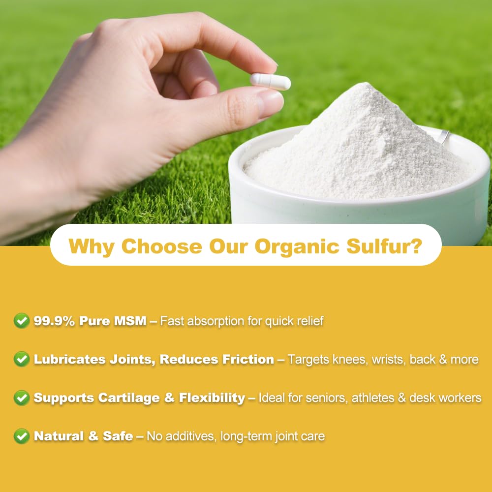 high potency msm supplement