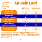 High potency Mullein Leaf Extract