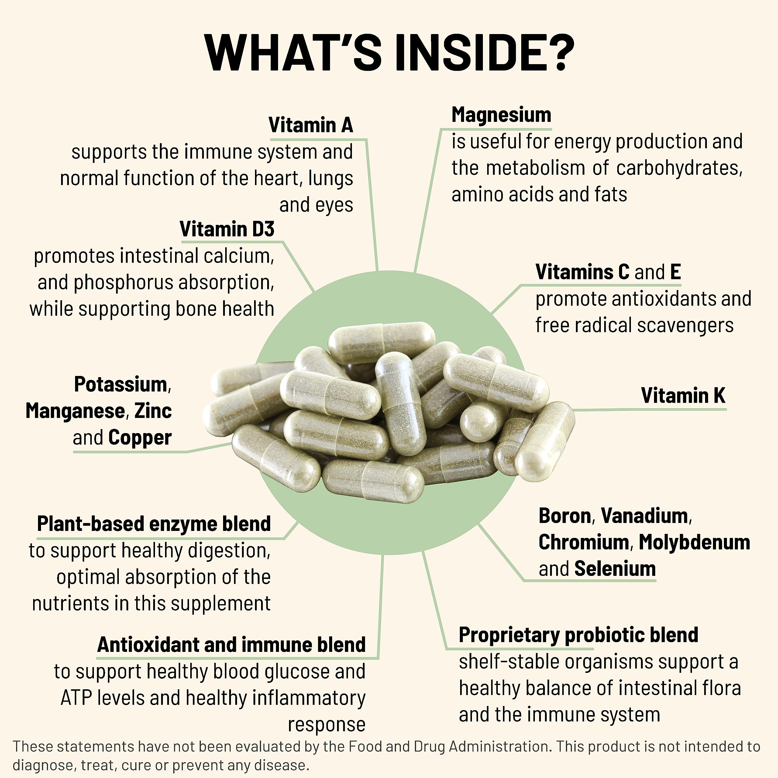high potency multivitamin for active lifestyles
