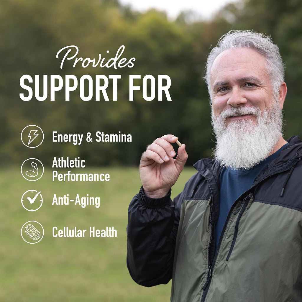 high potency multivitamin for men