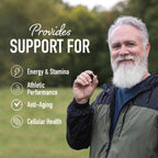 high potency multivitamin for men