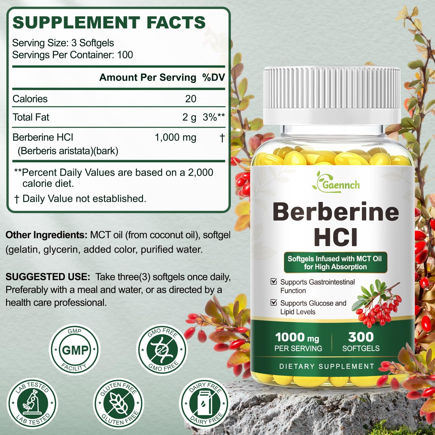high potency multivitamins for wellness