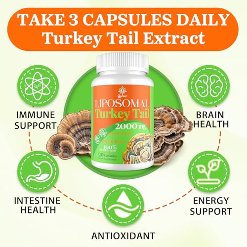 High potency mushroom extract benefits