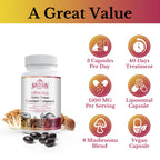 high potency mushroom extract capsules