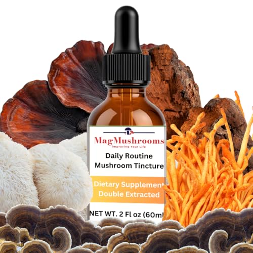 High potency mushroom extract for wellness