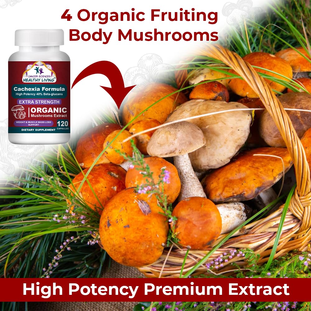 high potency mushroom extract