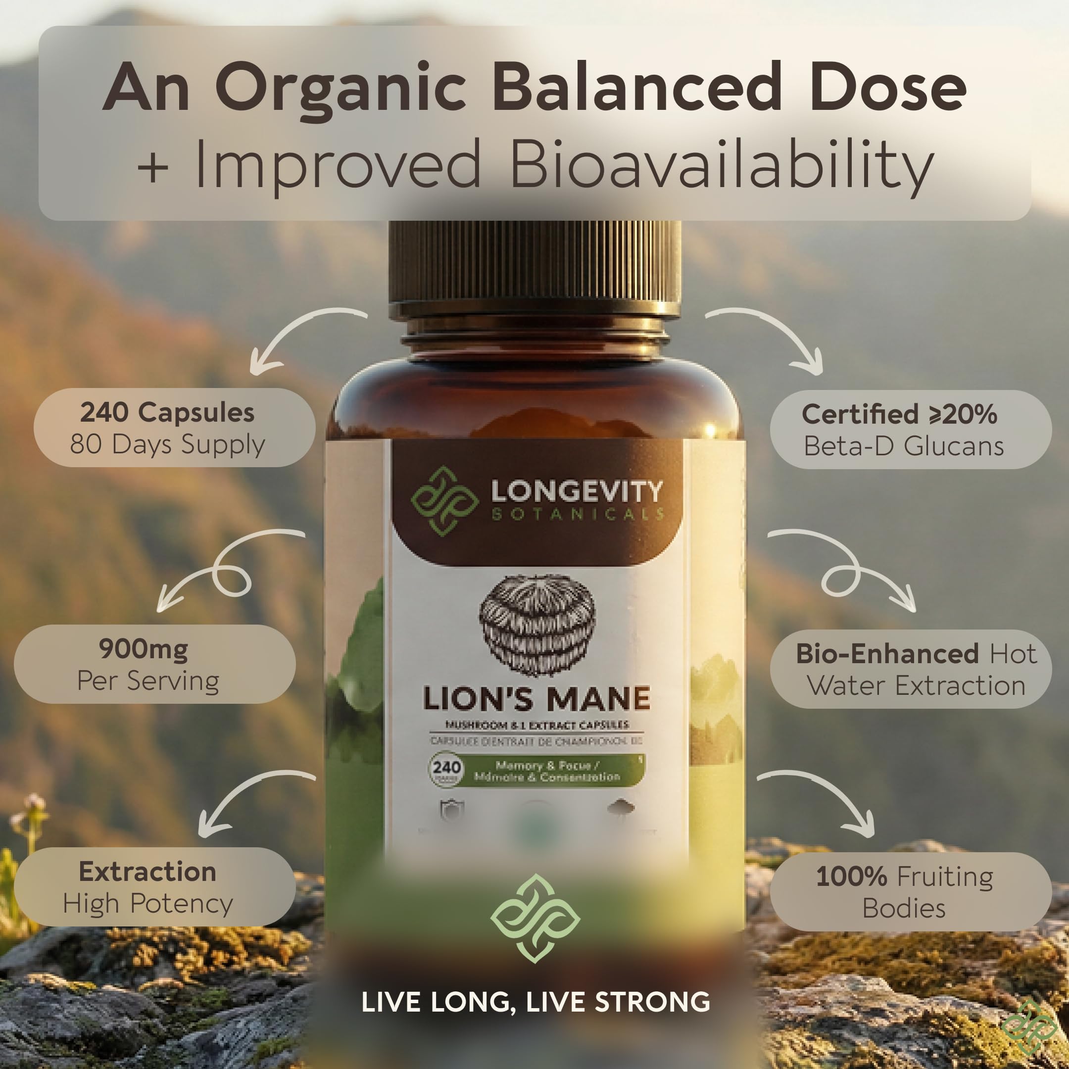 High potency mushroom supplement