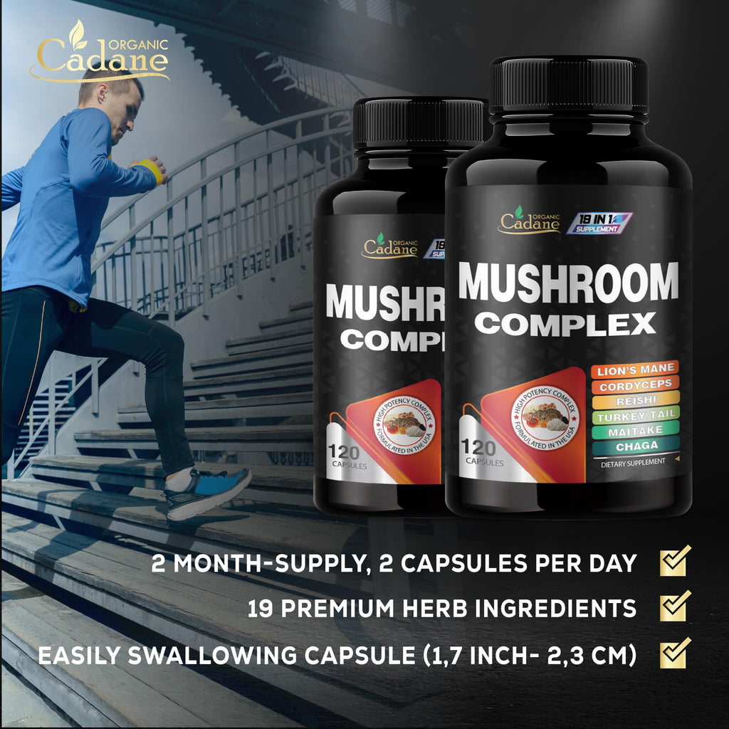 high potency mushrooms for natural healing