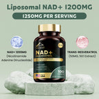 High potency NAD+ antioxidant supplement