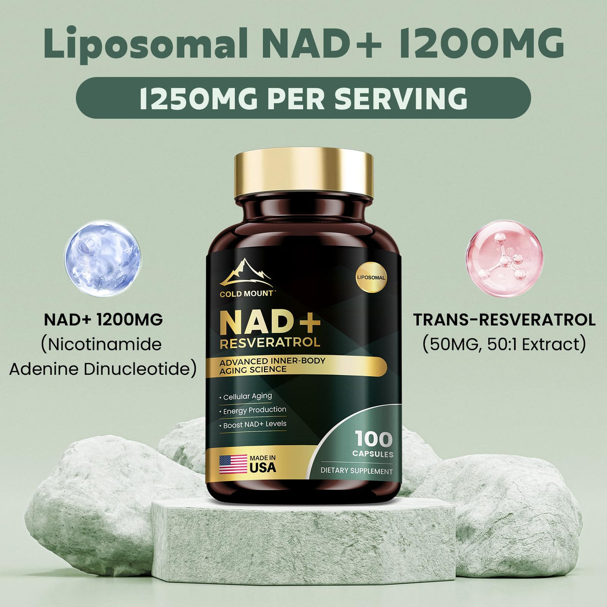 High potency NAD+ antioxidant supplement