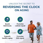 high potency NAD+ capsules for vitality