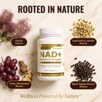 High potency NAD+ complex for vitality