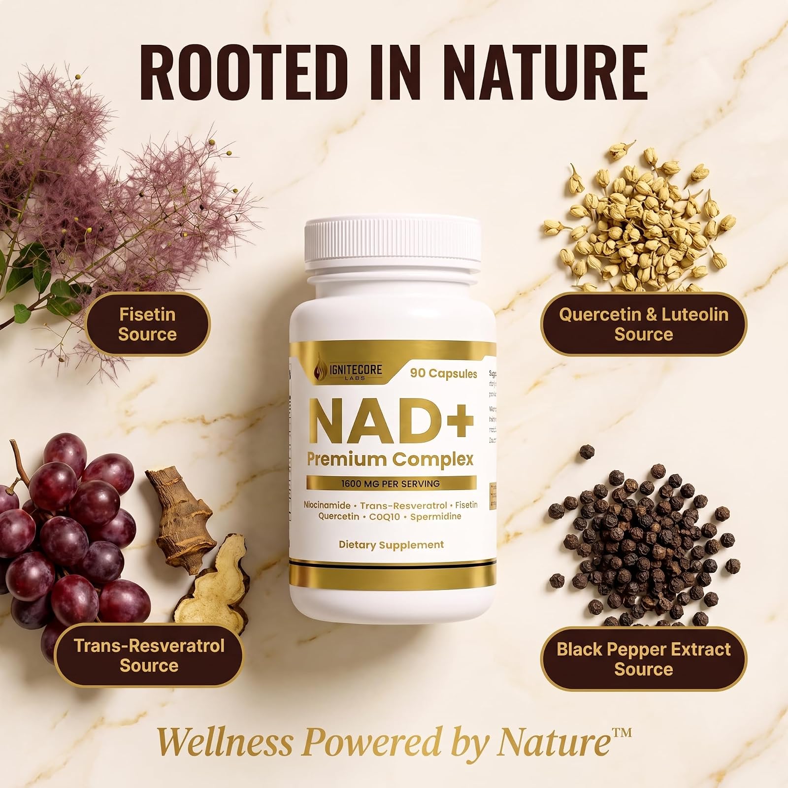High potency NAD+ complex for vitality