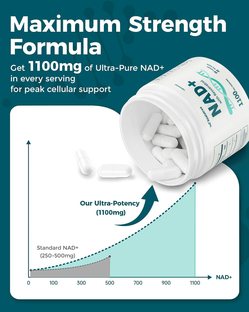 High potency NAD+ supplement 1100 mg