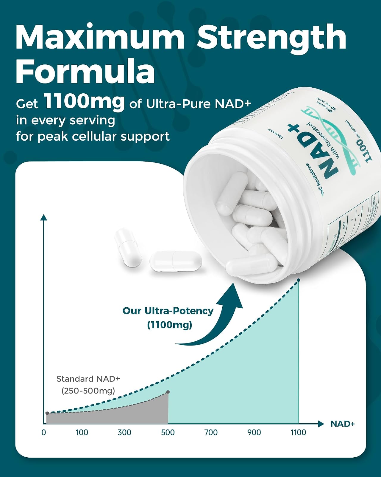 High potency NAD+ supplement 1100 mg
