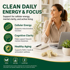 high potency NAD+ supplement for energy