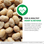 high potency Nattokinase supplement
