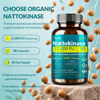 High potency Nattokinase supplement
