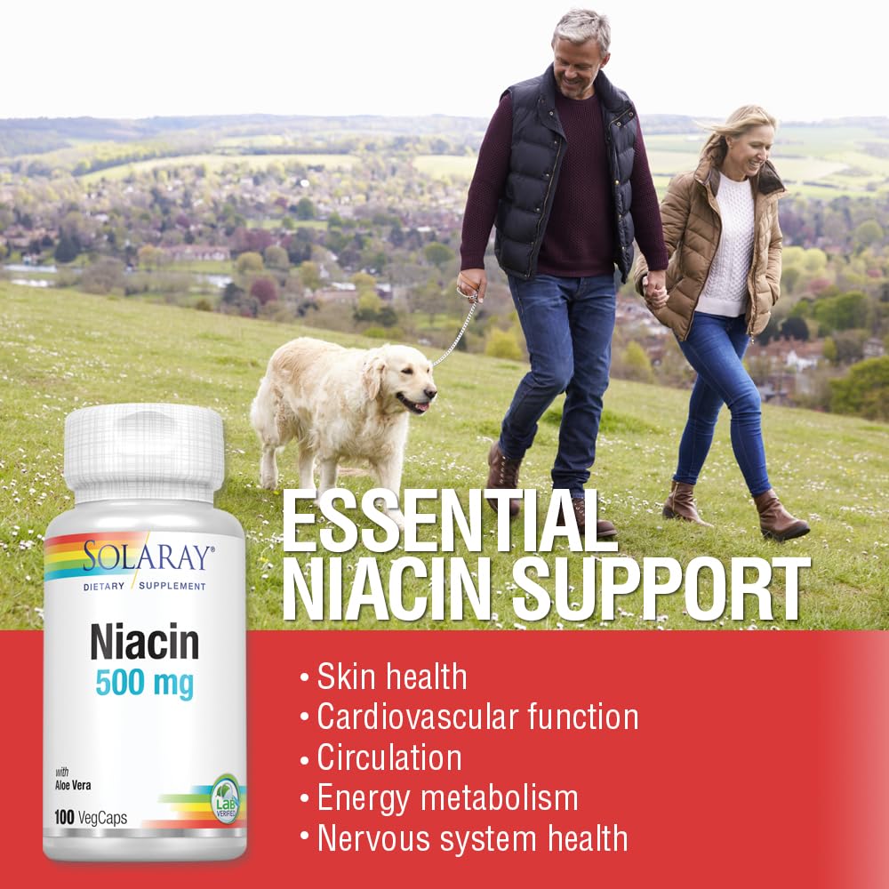 High potency niacin supplement