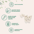 High potency niacin supplement