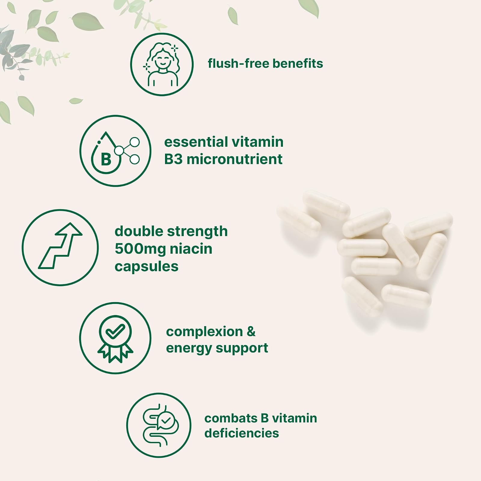 High potency niacin supplement
