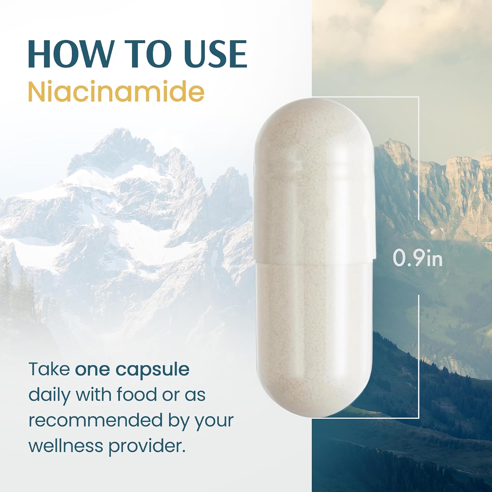 High potency Niacinamide for immune function