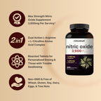 high potency nitric oxide supplement