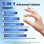 high potency NMN antioxidant supplement