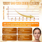 High potency NMN for vitality