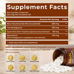 high potency NMN for vitality