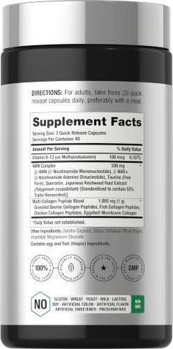 High potency NMN supplement benefits