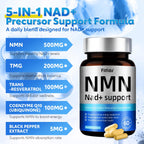 high potency NMN supplement