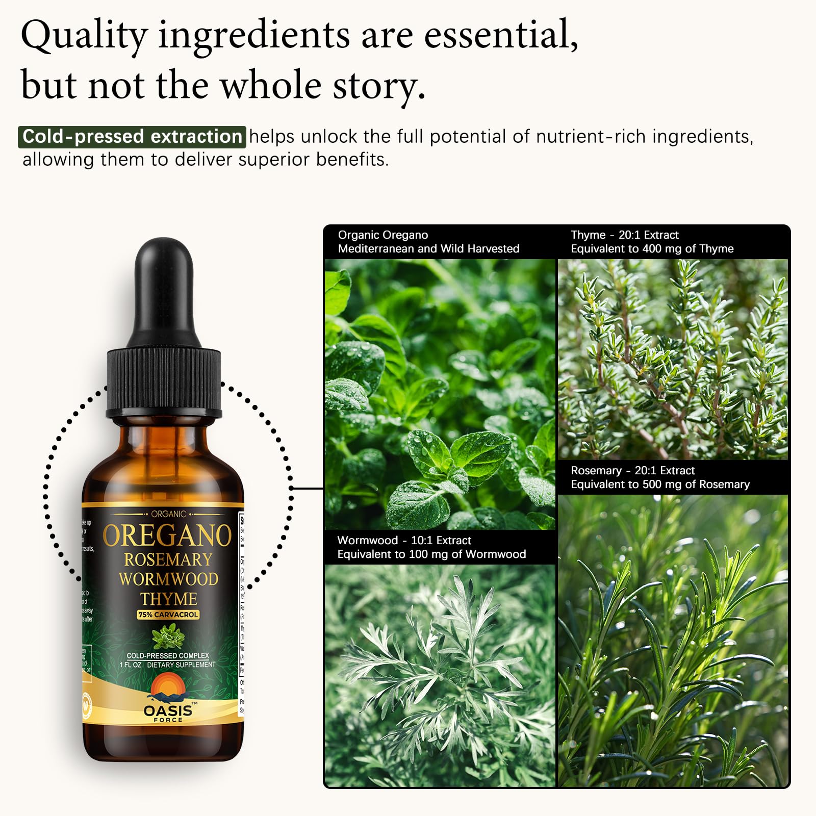 high potency oil of oregano