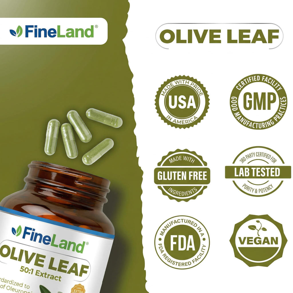 high potency olive leaf extract benefits