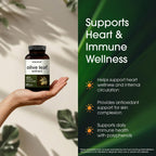 high potency olive leaf extract